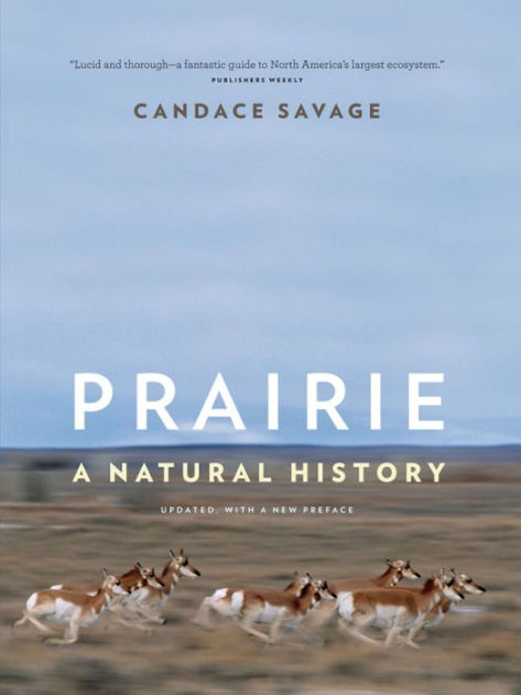 Prairie: A Natural History by Candace Savage | eBook | Barnes & Noble®