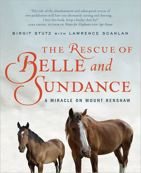 The Rescue Of Belle And Sundance by Birgit Stutz, Lawrence Scanlan ...