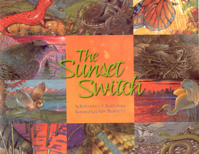 The Sunset Switch by Kathleen V. Kudlinski, Hardcover | Barnes & Noble®