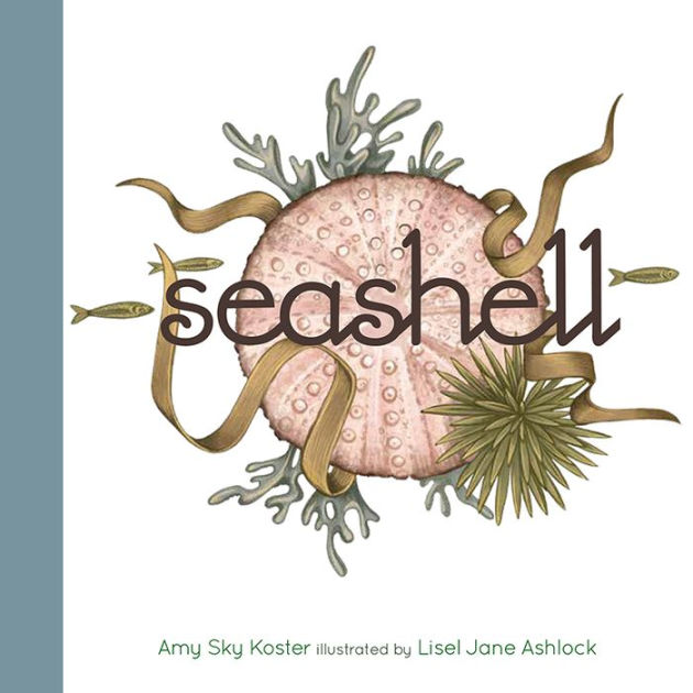Seashell by Amy Sky Koster, Lisel Jane Ashlock, Board Book | Barnes ...