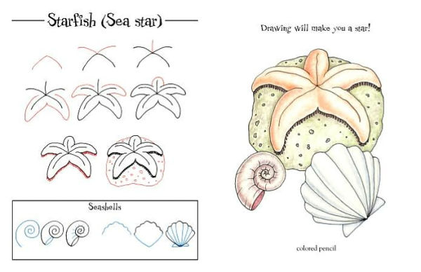 Ralph Masiello's Ocean Drawing Book by Ralph Masiello, Paperback ...
