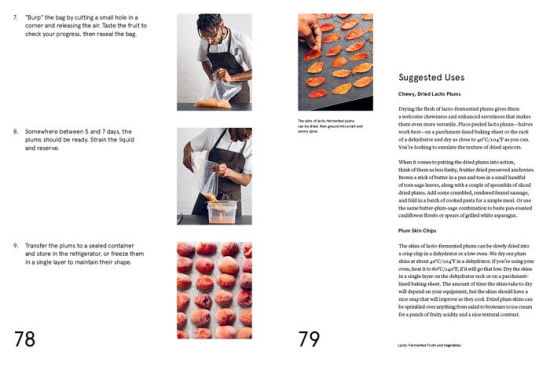 The Noma Guide to Fermentation: Including koji, kombuchas, shoyus ...