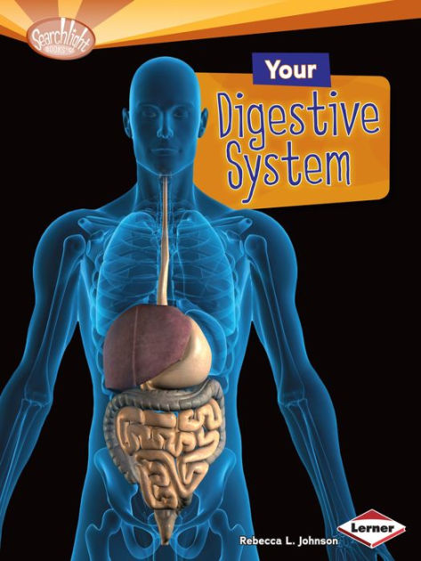 Your Digestive System by Rebecca L. Johnson, Paperback | Barnes & Noble®
