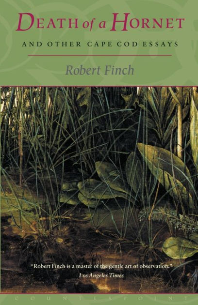 Death of a Hornet and Other Cape Cod Essays by Robert Finch, Paperback ...