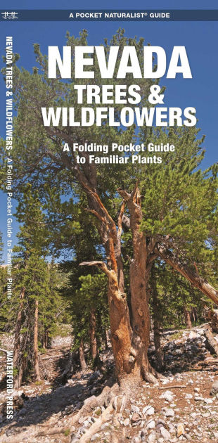 Nevada Trees & Wildflowers: A Folding Pocket Guide to Familiar Plants ...