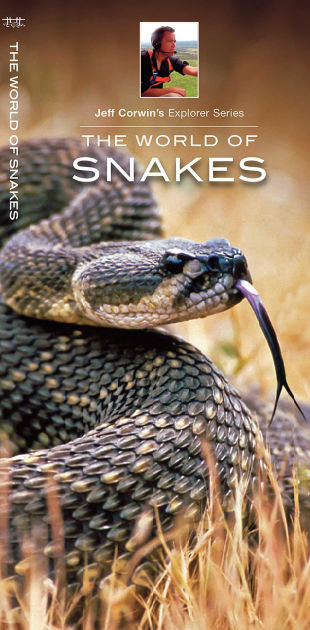 The World of Snakes by Jeff Corwin, Waterford Press, Raymond Leung ...