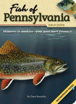 Fish of Pennsylvania Field Guide by Dave Bosanko, Paperback | Barnes ...
