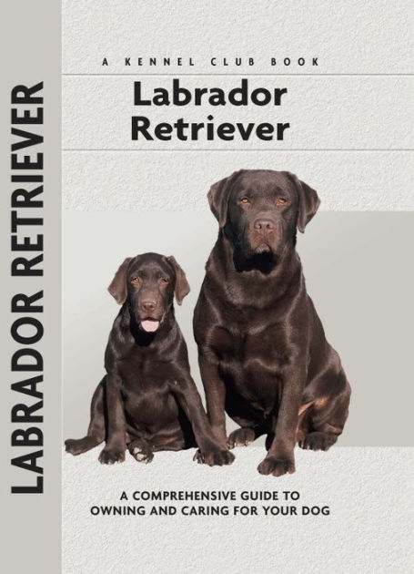 Labrador Retriever by Margaret A. Gilbert | eBook | Barnes & Noble®