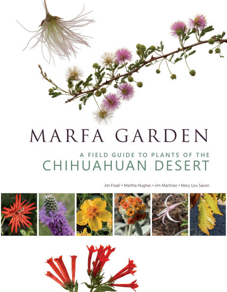 Marfa Garden: A Field Guide to Plants of the Chihuahuan Desert by Jim ...