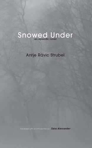 SNOWED UNDER by ZAIA ALEXANDER, Paperback | Barnes & Noble®