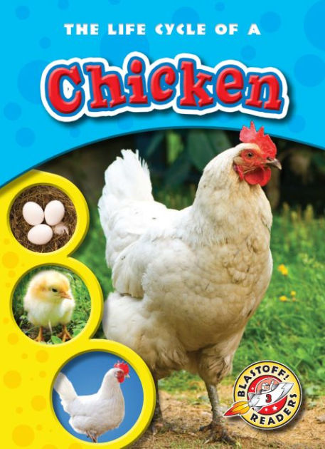 The Life Cycle of a Chicken by Colleen Sexton, Hardcover | Barnes & Noble®