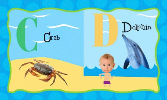 My Little Florida ABC by Cliff Road Books, Board Book | Barnes & Noble®