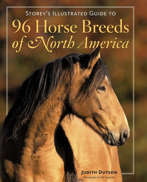 Storey's Illustrated Guide to 96 Horse Breeds of North America by ...