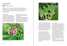 Midwest Foraging: 115 Wild and Flavorful Edibles from Burdock to Wild ...