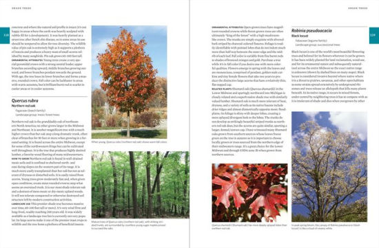 Native Plants of the Midwest: A Comprehensive Guide to the Best 500 ...