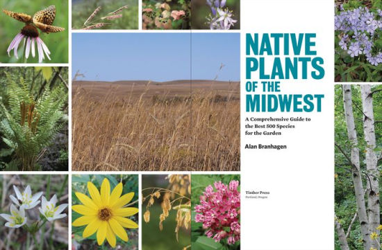 Native Plants of the Midwest: A Comprehensive Guide to the Best 500 ...