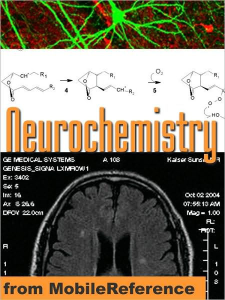 Neurochemistry Study Guide : Membranes And Transport, Ion Channels ...