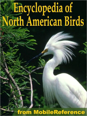 The Illustrated Encyclopedia Of North American Birds: An Essential ...