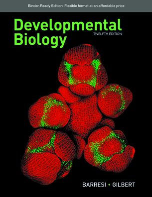 Developmental Biology / Edition 12 by Michael J.F. Barresi, Scott F ...