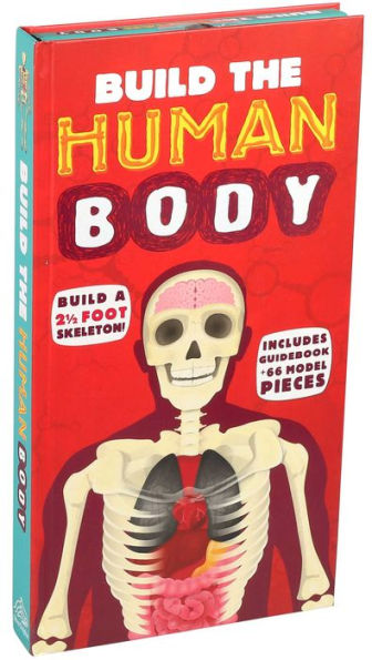 Build the Human Body by Richard Walker, Mark Ruffle, Galia Bernstein ...