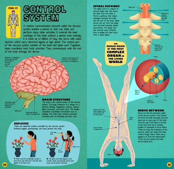 Build the Human Body by Richard Walker, Mark Ruffle, Galia Bernstein ...
