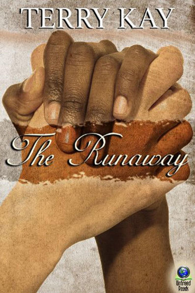 The Runaway by Terry Kay | eBook | Barnes & Noble®