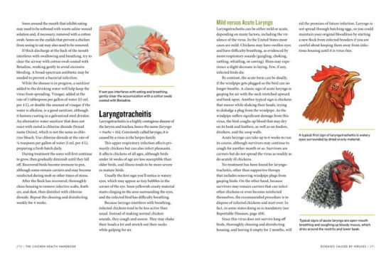 The Chicken Health Handbook, 2nd Edition: A Complete Guide to ...