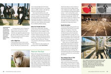 Temple Grandin's Guide to Working with Farm Animals: Safe, Humane ...