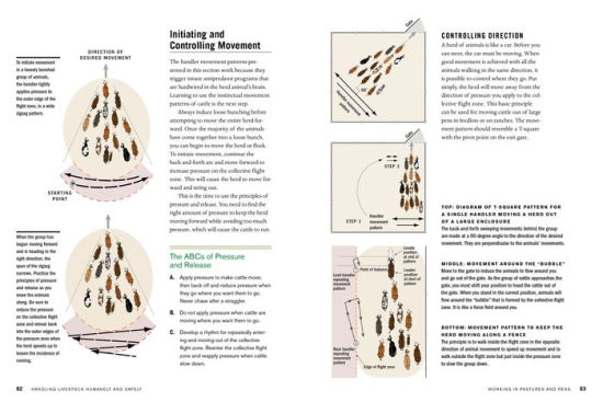 Temple Grandin's Guide to Working with Farm Animals: Safe, Humane ...