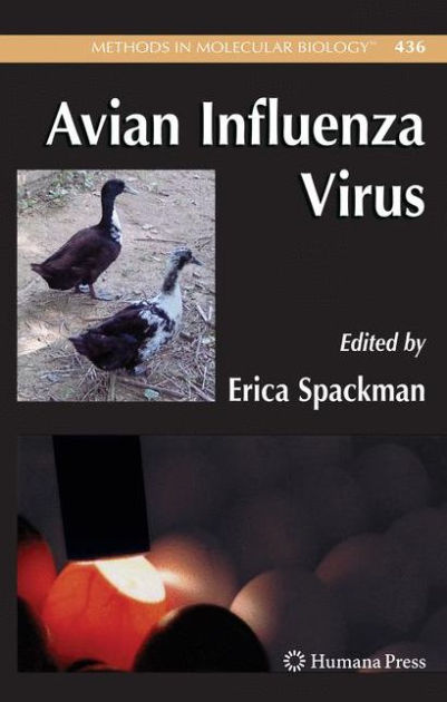 Avian Influenza Virus / Edition 1 by Erica Spackman | 9781617378508 ...