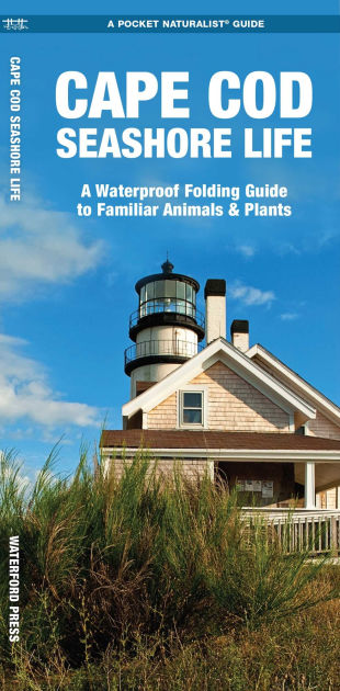 Cape Cod Seashore Life: A Folding Guide to Familiar Animals & Plants by ...