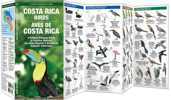 Costa Rica Birds/Aves de Costa Rica, 2nd Ed by J.M. Kavanagh, Raymond ...