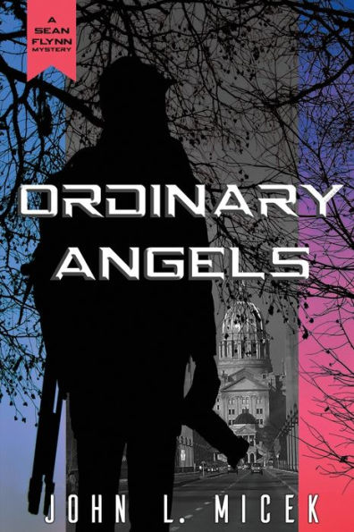 Ordinary Angels by John L Micek, Paperback | Barnes & Noble®
