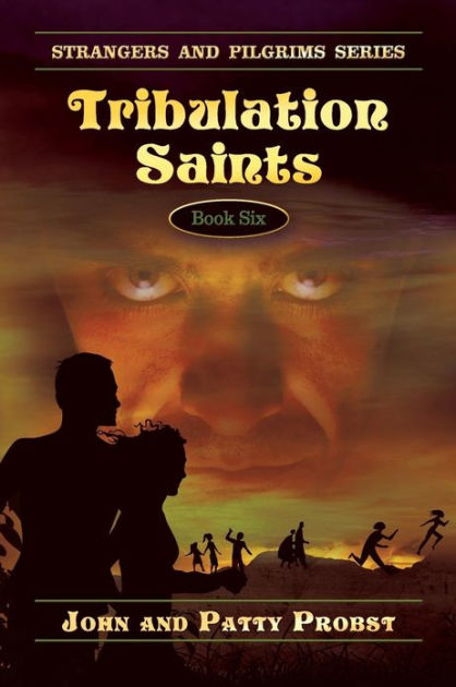 Tribulation Saints: Strangers and Pilgrims Series Book Six by John ...