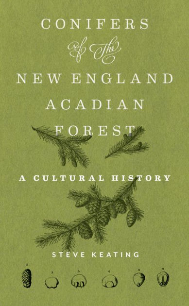 Conifers of the New England-Acadian Forest: A Cultural History by Steve ...