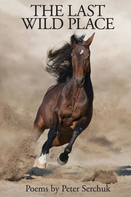 The Last Wild Place by Peter Serchuk, Paperback | Barnes & Noble®
