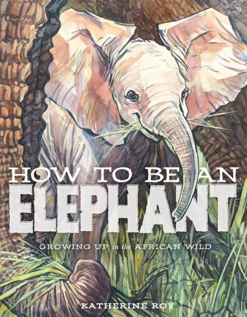 How to Be an Elephant by Katherine Roy, Hardcover | Barnes & Noble®