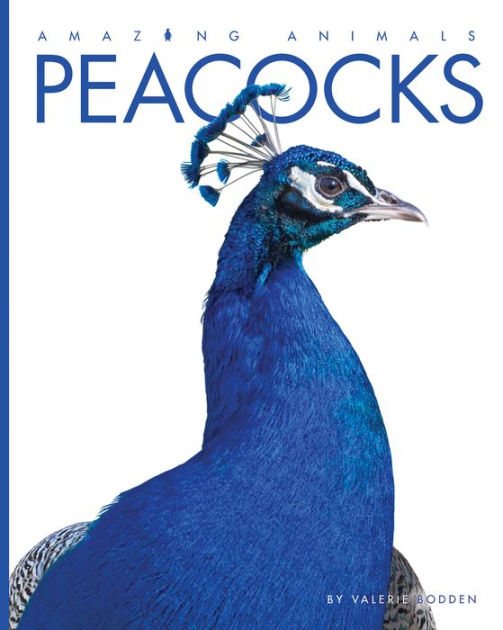 Peacocks (Amazing Animals Series) by Valerie Bodden, Paperback | Barnes ...