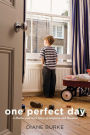 One Perfect Day: A Mother and Son's Story of Adoption and Reunion by ...