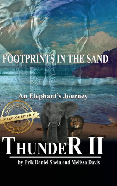 Thunder II: Footprints in the Sand by Erik Daniel Shein, Melissa Davis ...