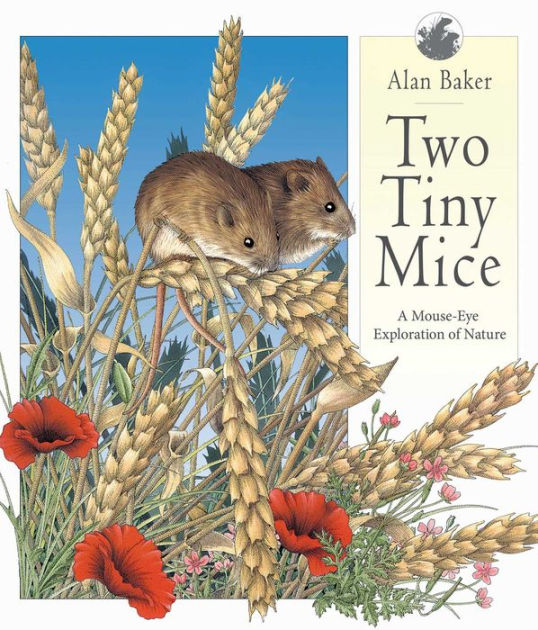 Two Tiny Mice: A Mouse-Eye Exploration of Nature by Alan Baker | eBook ...