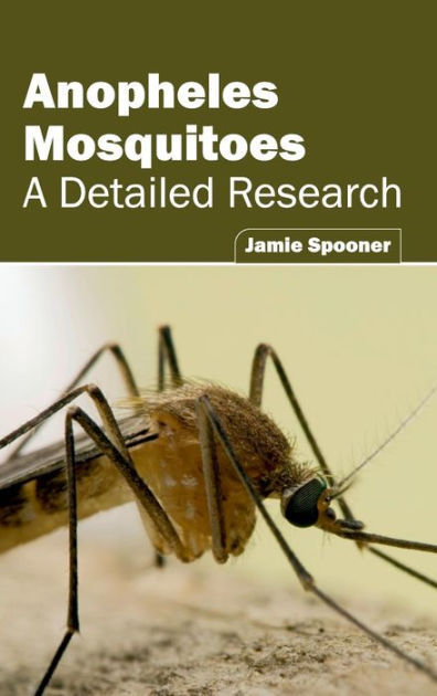 Anopheles Mosquitoes: A Detailed Research by Jamie Spooner ...