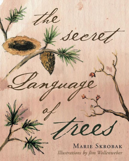 The Secret Language Of Trees by Marie Skrobak, Paperback | Barnes & Noble®