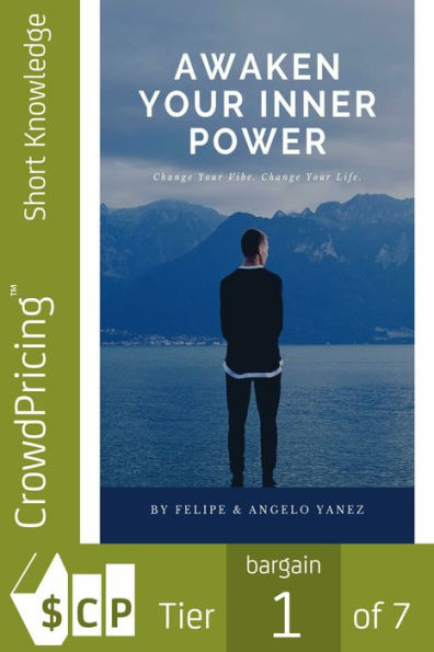 Awaken Your Inner Power: Change Your Vibe, Change Your Life! by Angelo Yanez | eBook | Barnes ...