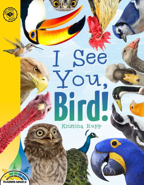 I See You, Bird! by Kristina Rupp, Paperback | Barnes & Noble®