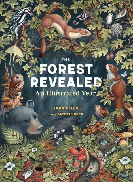 The Forest Revealed: An Illustrated Year by Jada Fitch, Kateri Kosek ...