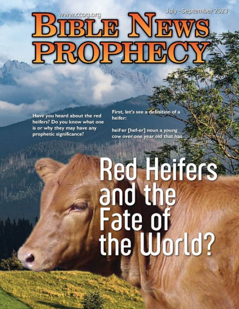 Bible News Prophecy July - September 2023: Red Heifers and the Fate of ...