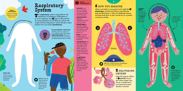 The Interactive Human Body: Explore the human body with flaps, wheels ...