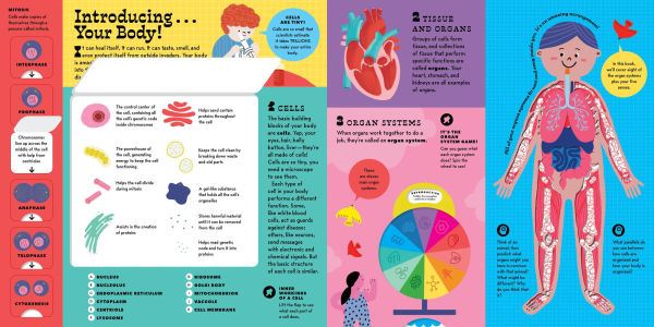 The Interactive Human Body: Explore the human body with flaps, wheels ...