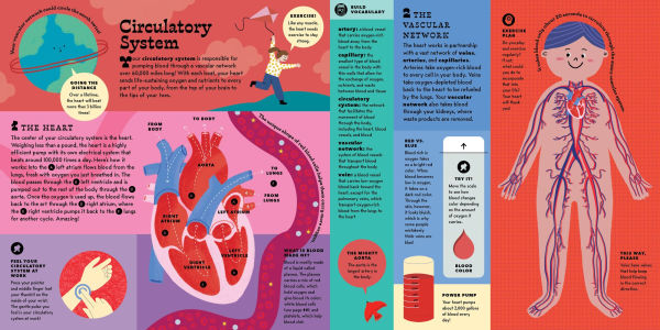 The Interactive Human Body: Explore the human body with flaps, wheels ...